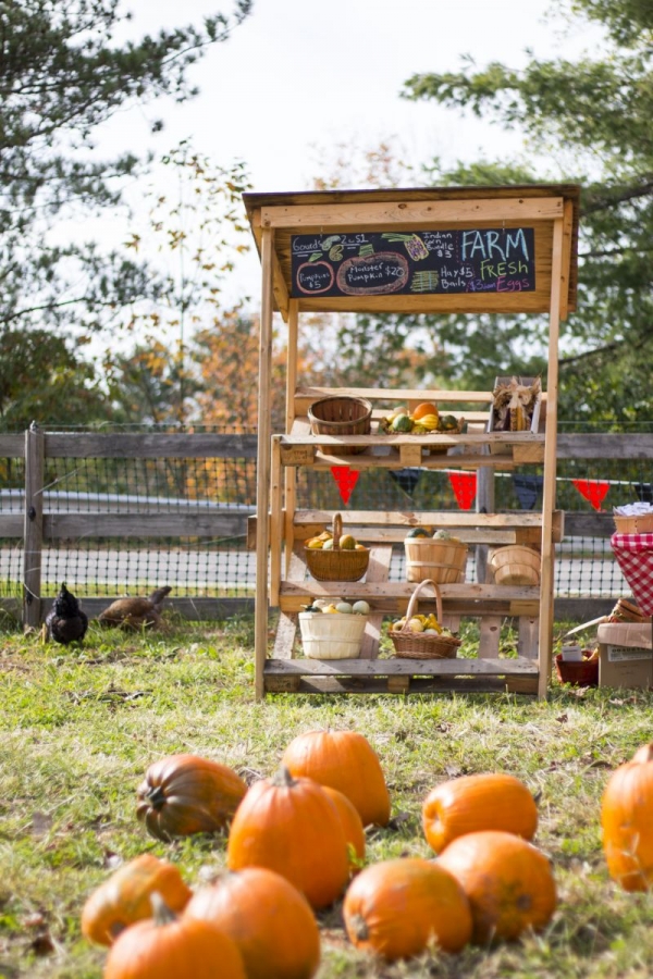 Willow Farms Instructional Programs in a relaxing and nourishing ...