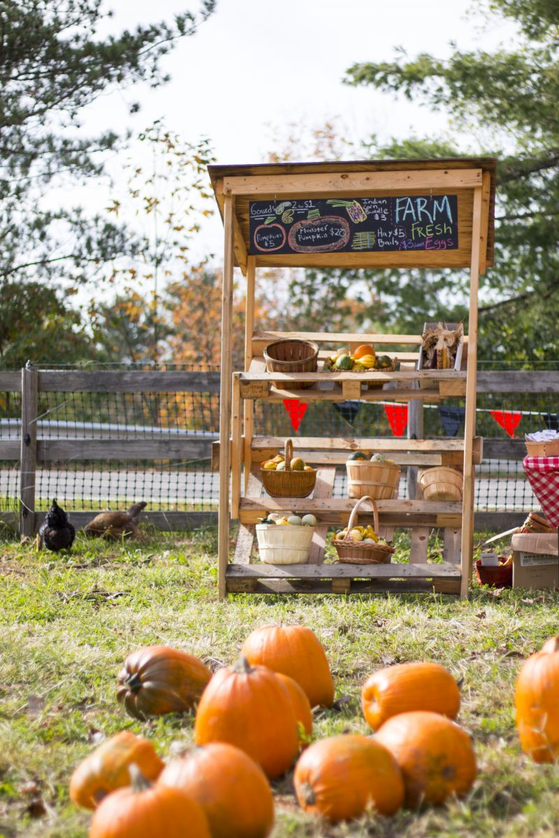 Willow Farms Instructional Programs in a relaxing and nourishing ...
