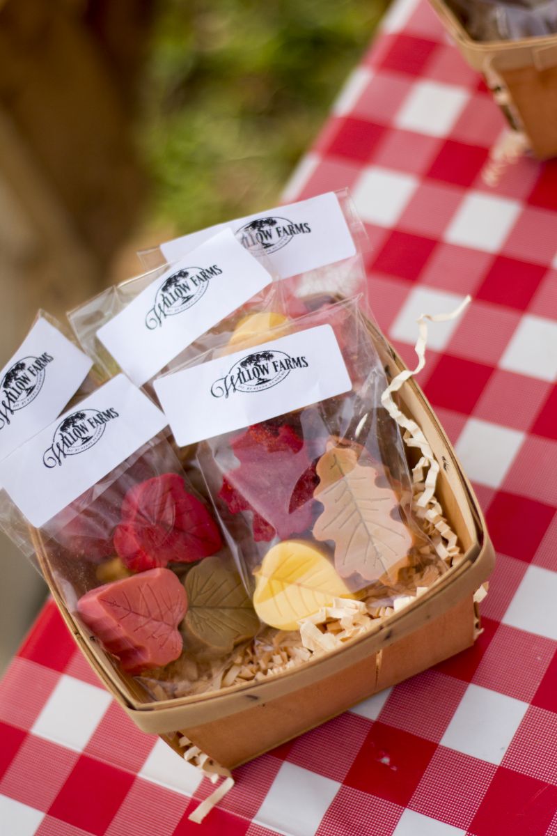 Willow Farms Instructional Programs in a relaxing and nourishing ...