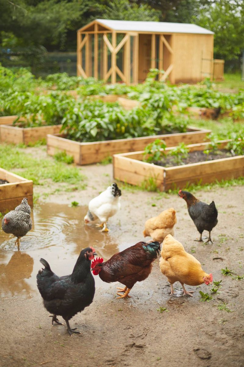 Willow Farms Instructional Programs in a relaxing and nourishing ...